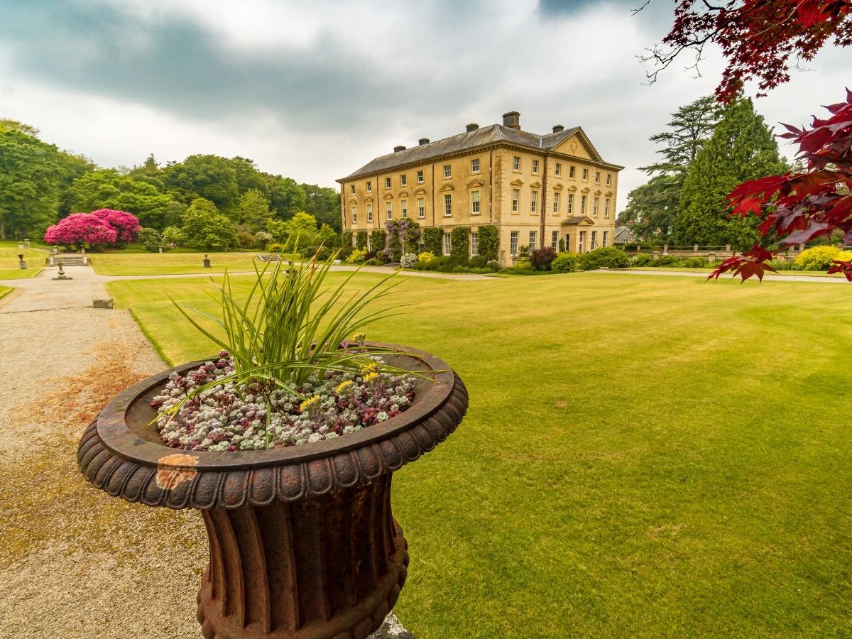 9 fun things to do in Bodmin (that aren't just the moor) - Lost In Cornwall