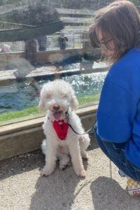 Guide to visiting Cornwall in November - Lost In Cornwall