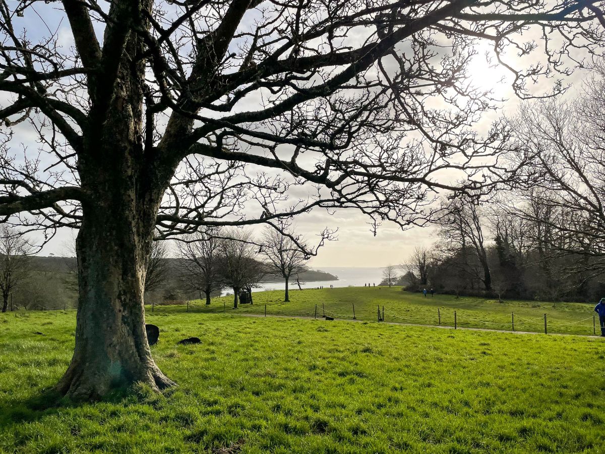 Cornwall in January: what is it like to visit in the New Year? - Lost ...